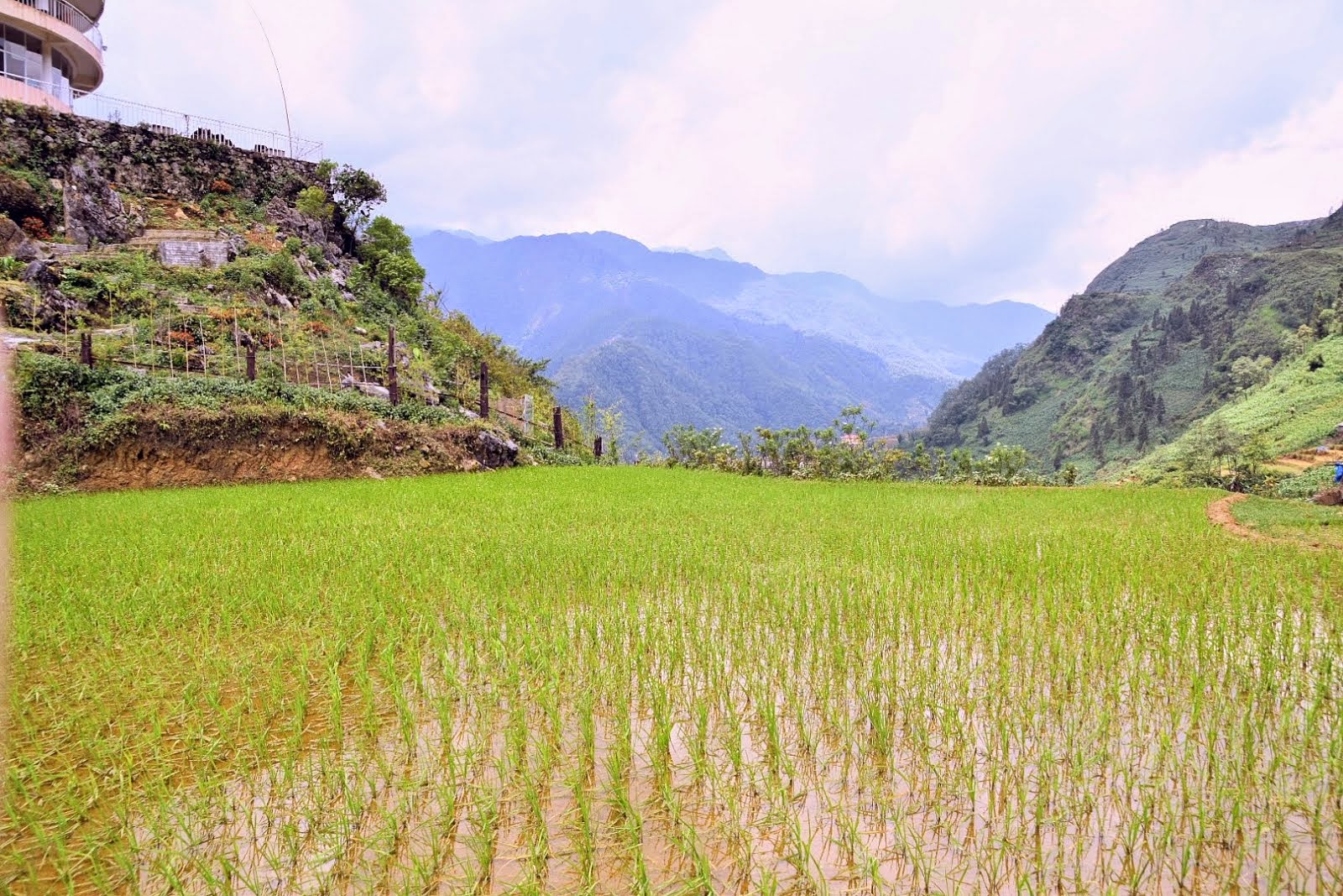 Fork It, Let's Travel!: Sapa Rice Terraces