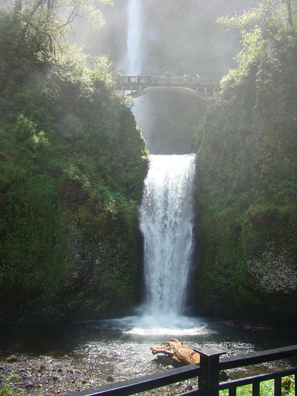 Twilight Travels 2011: Multnomah Falls