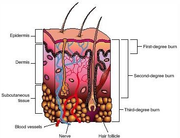 The Sensation of Skin Pain | The Raise