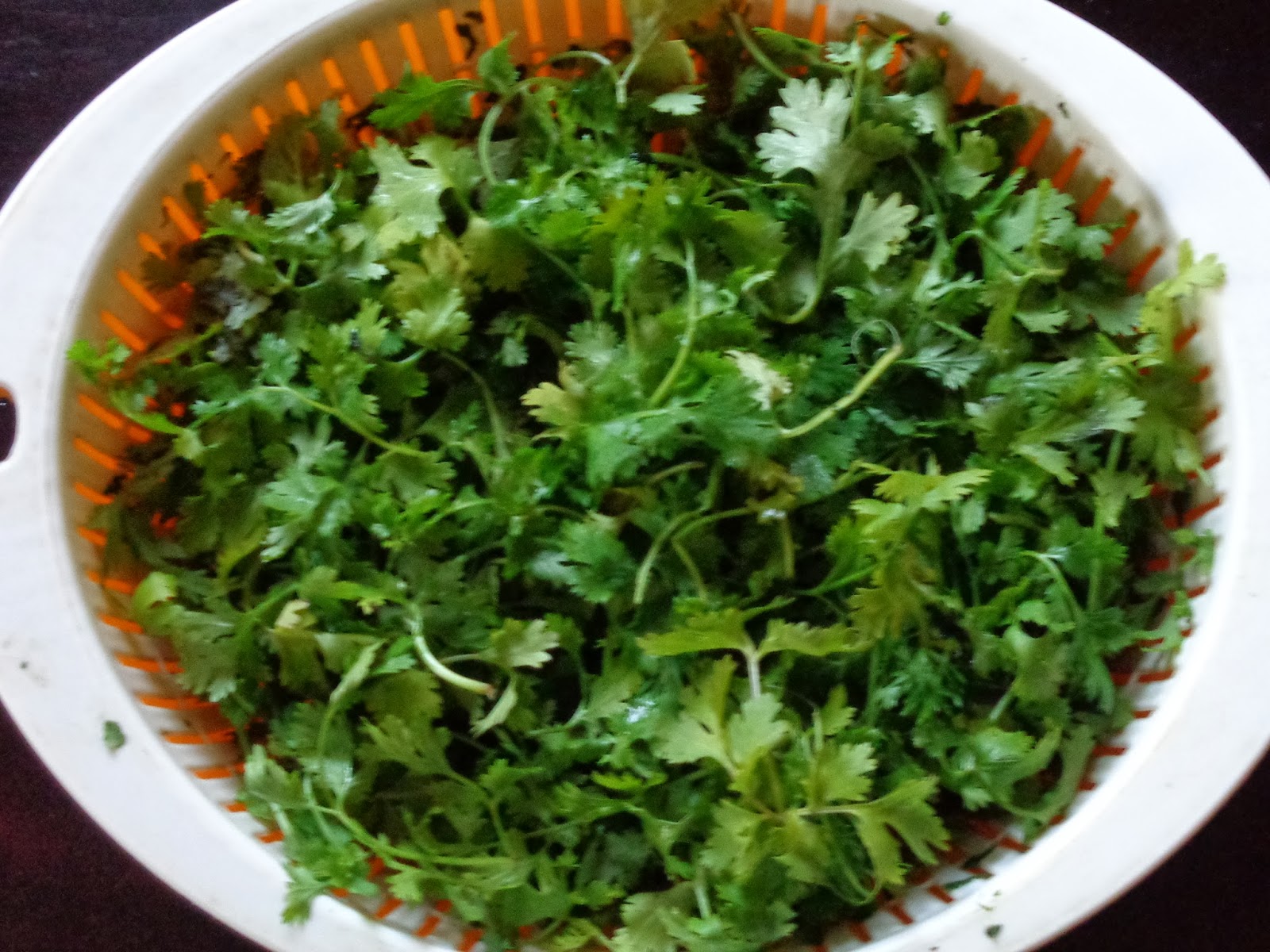 Cooking With Shobana : KOTHIMBIR VADI