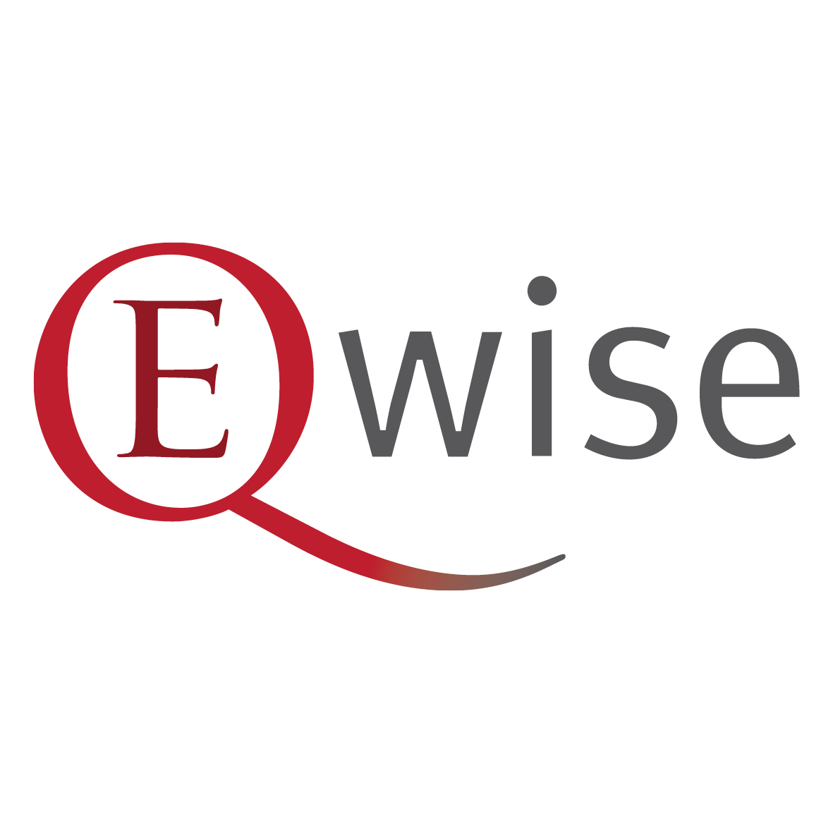Erwise Logo