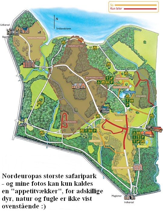 LOLLAND FOTOS: KNUTHENBORG SAFARIPARK