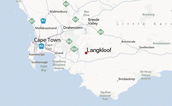 Chateau Rouge Tea Series - WildHarvest Honeybush