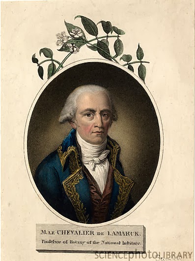 Ciencias de Joseleg: Las leyes de Lamarck