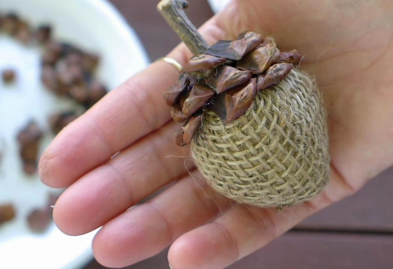 EasyMeWorld: DIY Acorn Craft