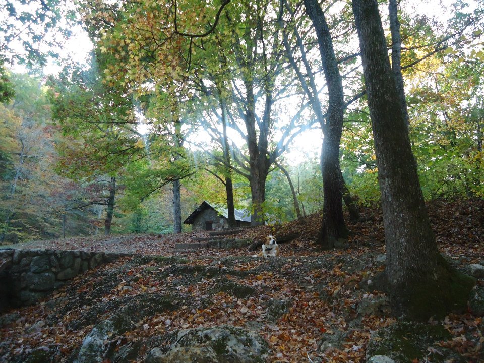 Outdoor Adventures: The Ouachita Mountains of Arkansas