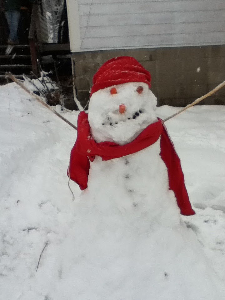 The Nonfiction Detectives: A Splash of Red: the life and art of Horace ...