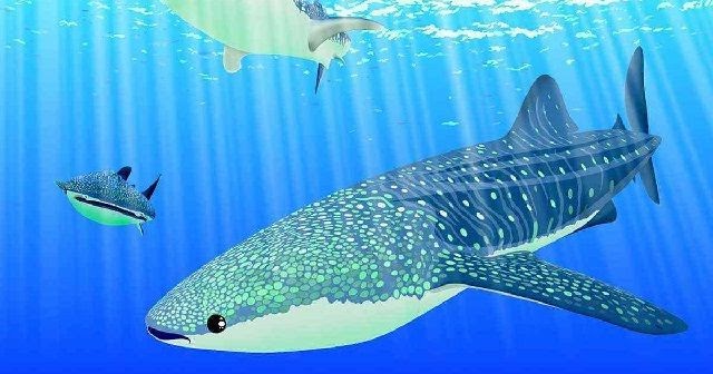 Cara Budidaya Ikan Cobia Kja Dan Tambak - cara ternak ikan