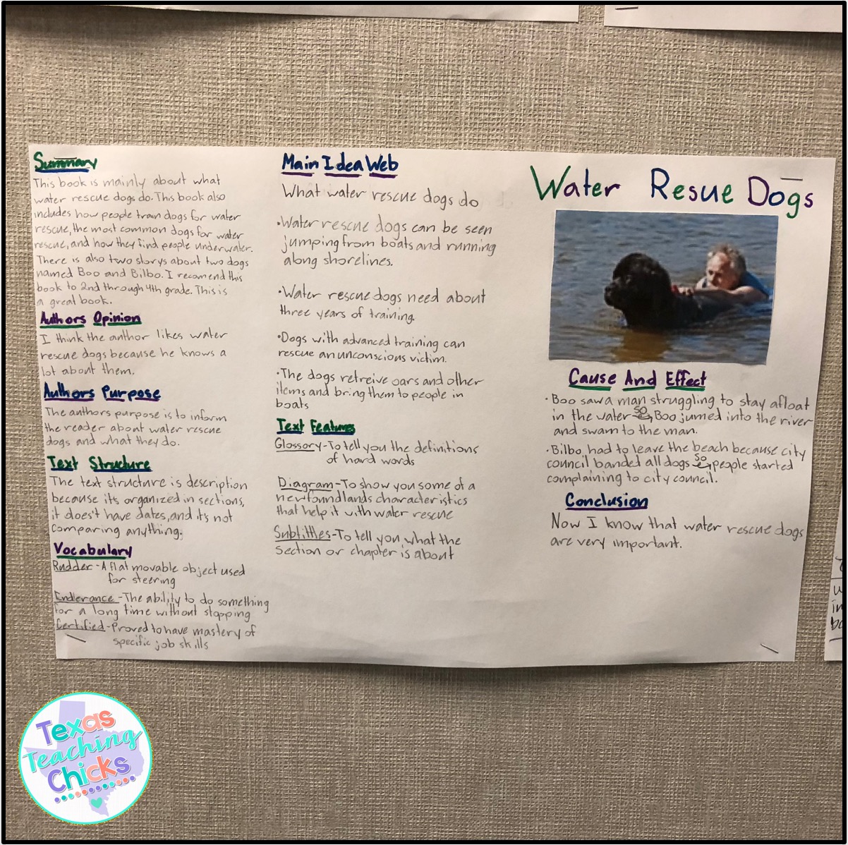 Nonfiction Book Poster Project - Texas Teaching Chicks