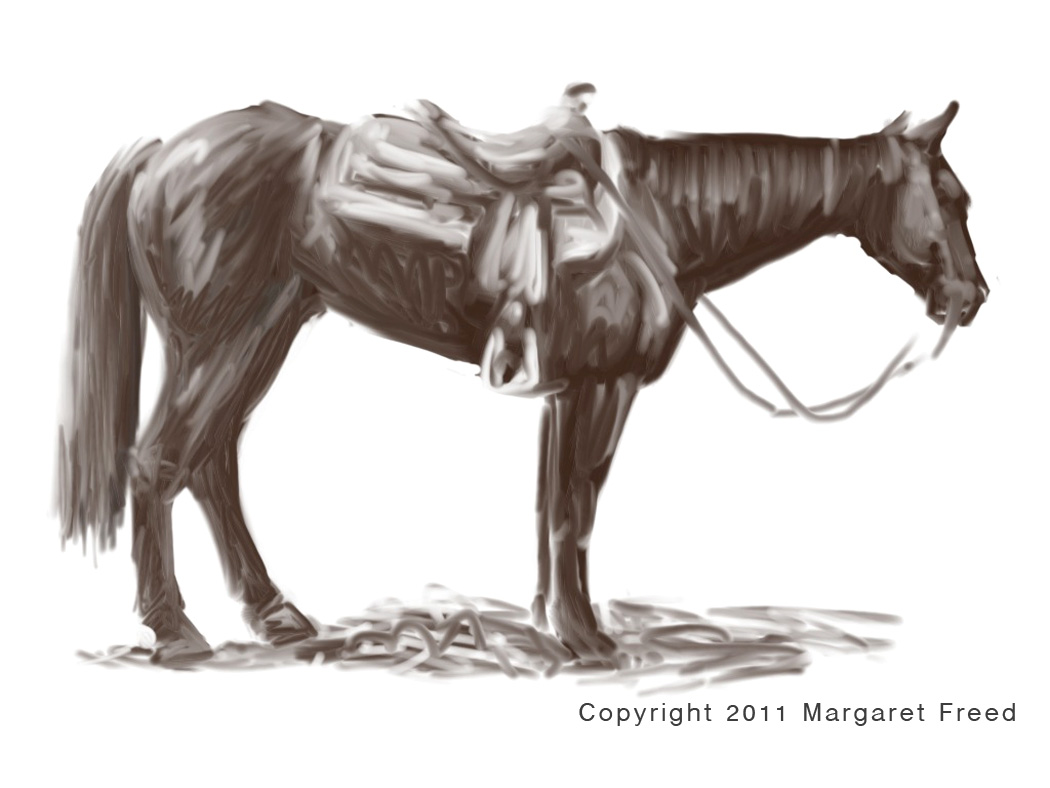 The Daily Draw: quarter horse.