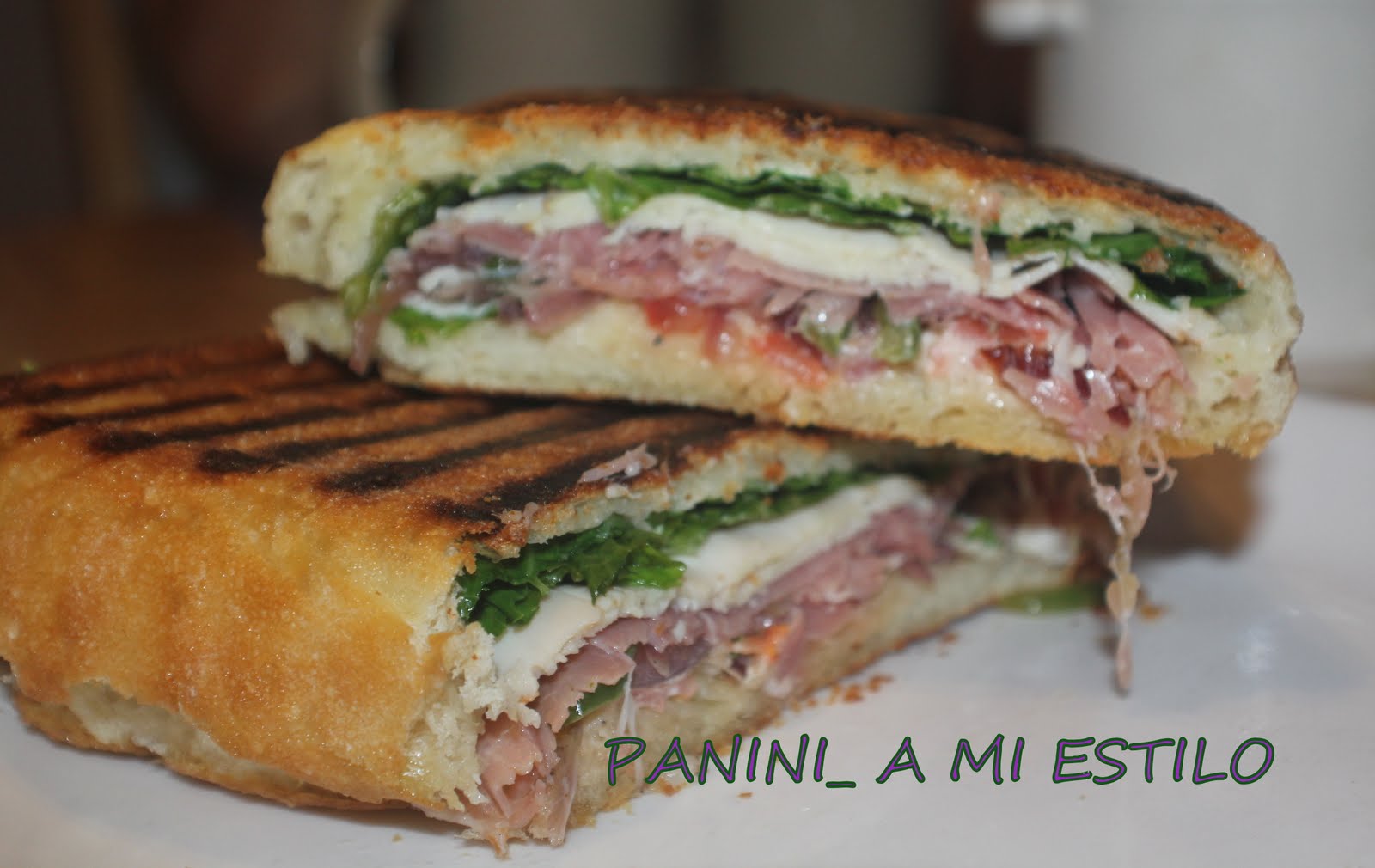 AmiestiloPeru: PANINI