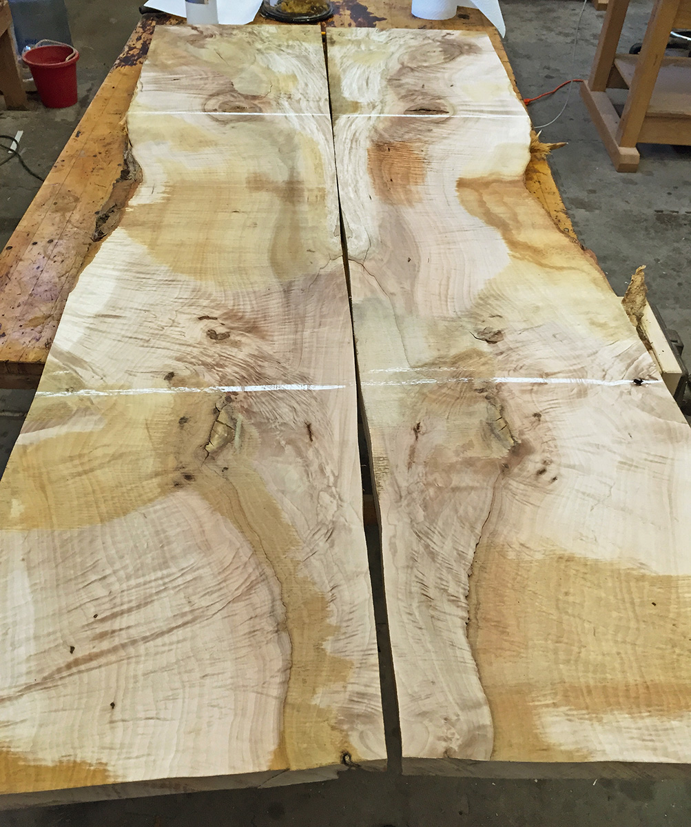 Chronicles of a Woodworking Apprentice: The Greatest Curly Maple ...