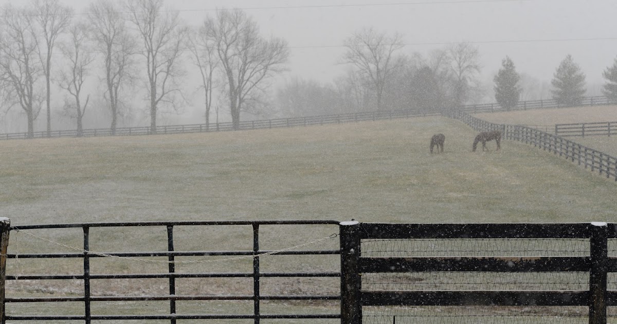 Punkin's Patch: Snow Ponies