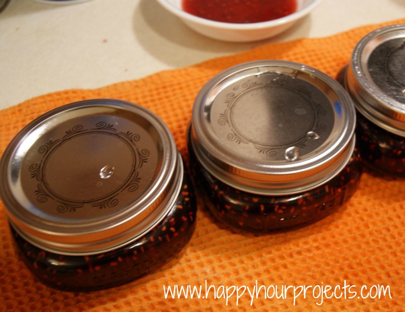 Raspberry-Pomegranate Jam - Happy Hour Projects