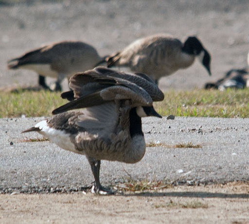 Me, Boomer and The Vermilon River: A Touch of Winter on the Vermilon ...