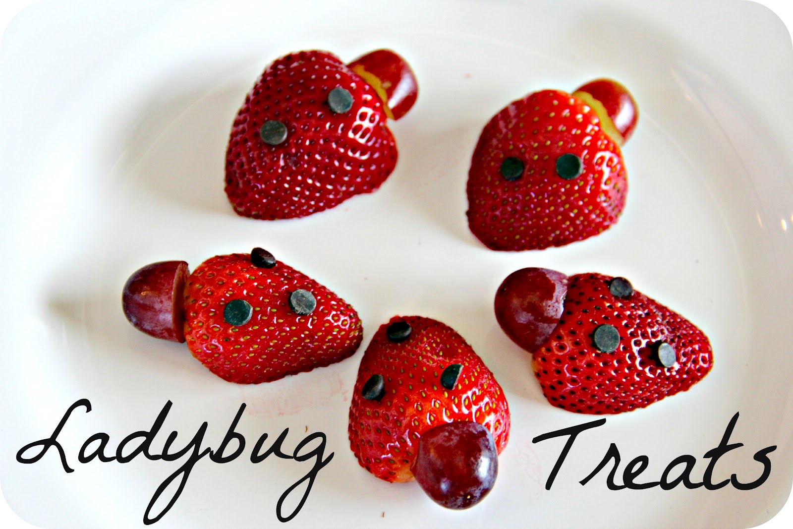 ladybug snacks for kids