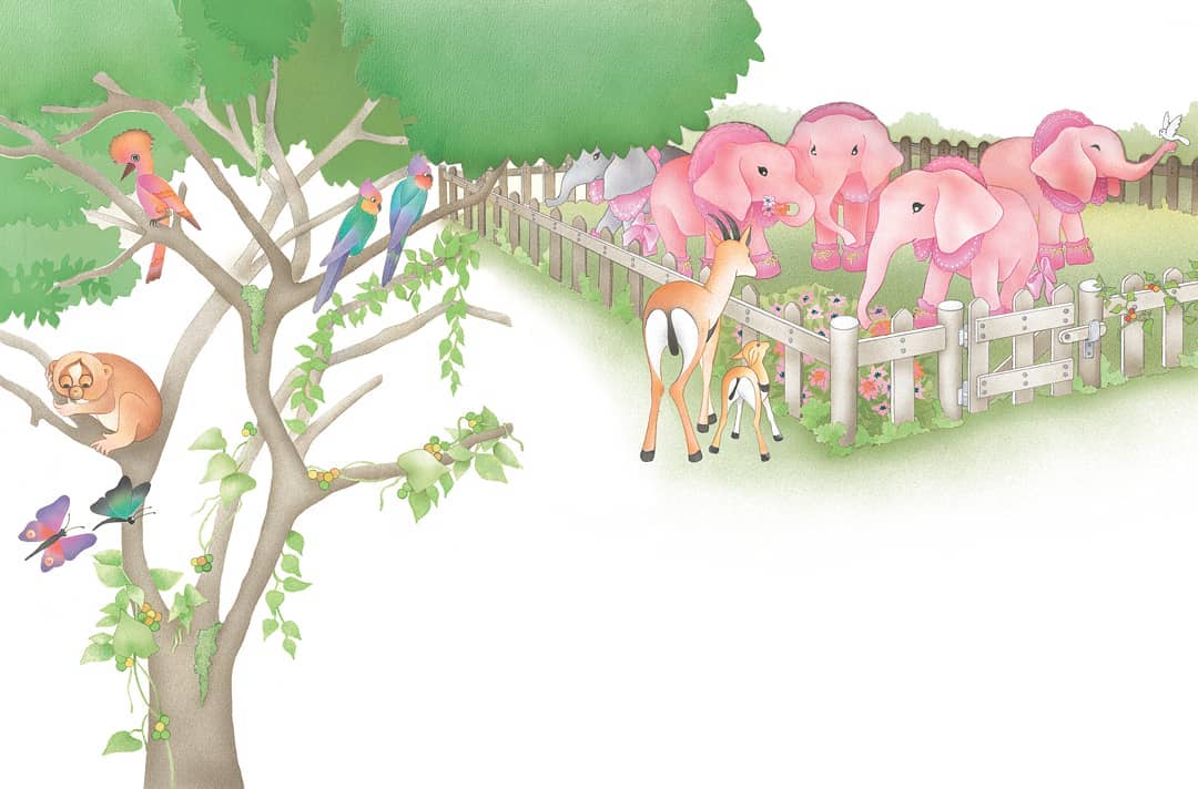 Cuentos Coeducativos