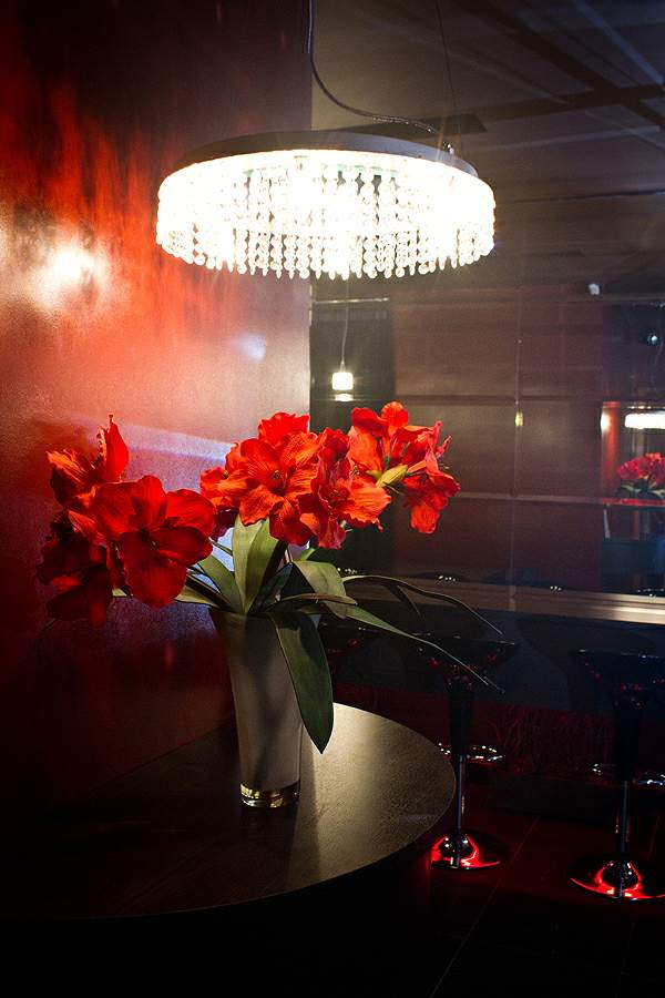 Design de Ambientes: Boate