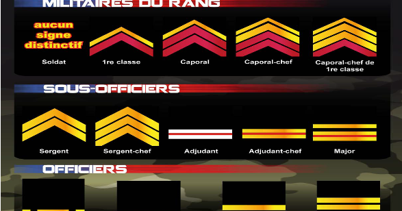 Le Refuge du Capitaine-Historien: Armées d’Aujourd’hui 01 - L’Armée de ...