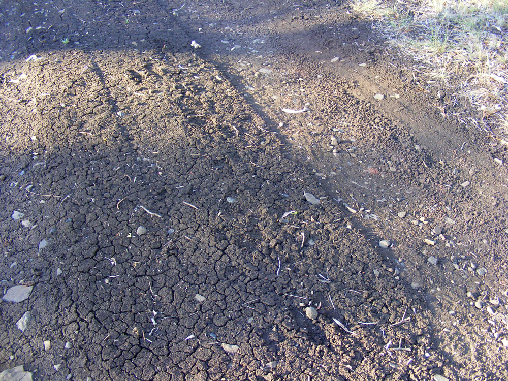 Days on the Claise: Tracks on the Track