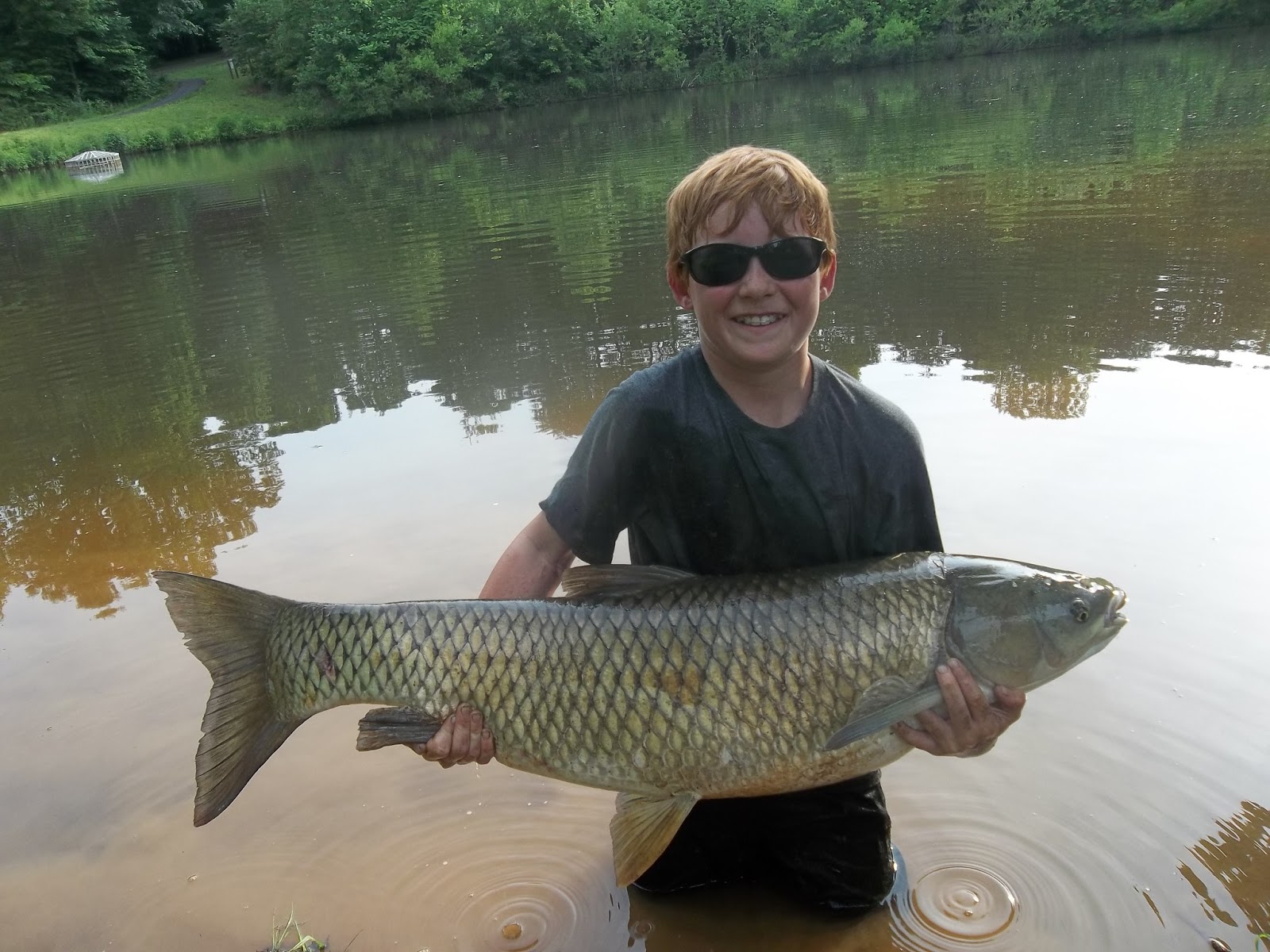 Everything That Swims: Unofficial World Record Grass Carp