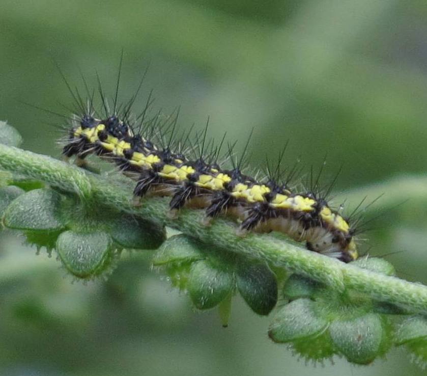 Caving in Nepal, cave in himalaya, cave Nepal, Nepal caving tour ...