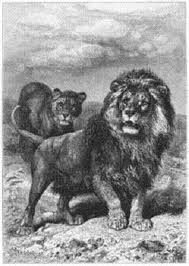 Bio World: Especies extintas por la actividad humana