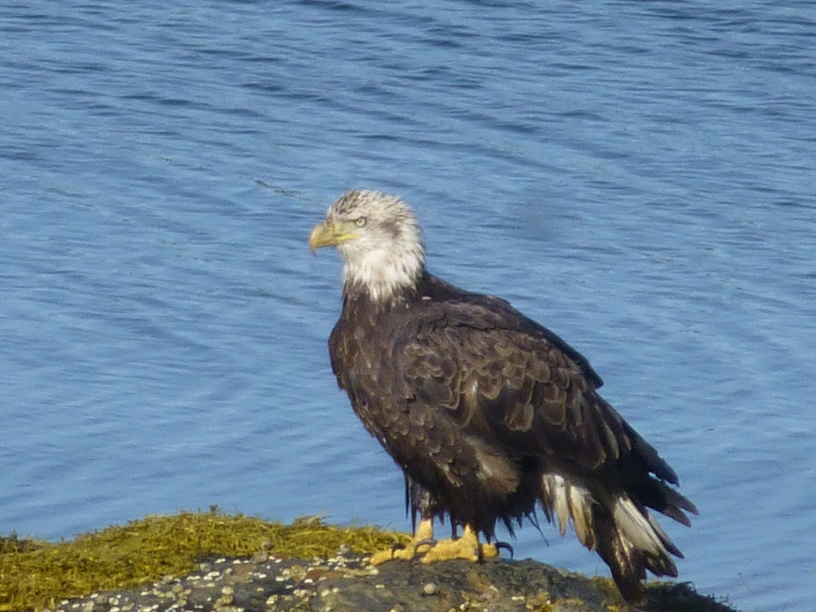 Judy Taylor Studio and Gallery