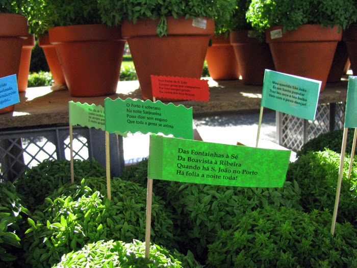 O manjerico e as suas vendedoras. A tradição do São João!