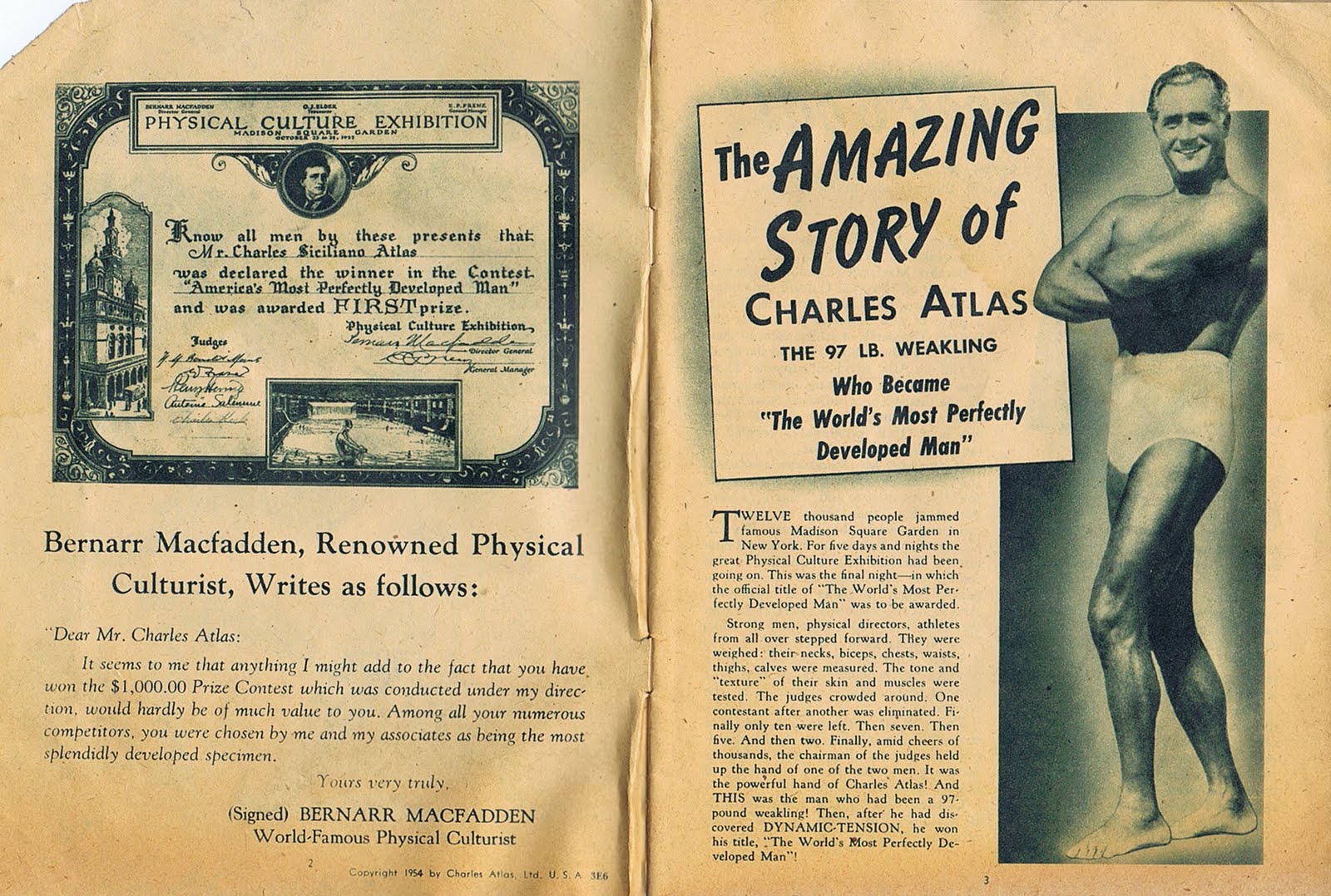 Scary Terry's World: "Everlasting Health and Strength" by Charles Atlas