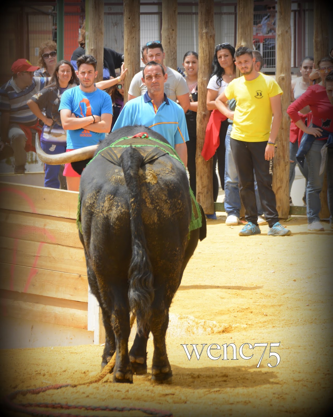 TAUROWENC75: TOROS Y TORAZOS EN EL SAN MARCOS DE BEAS DE SEGURA 2017
