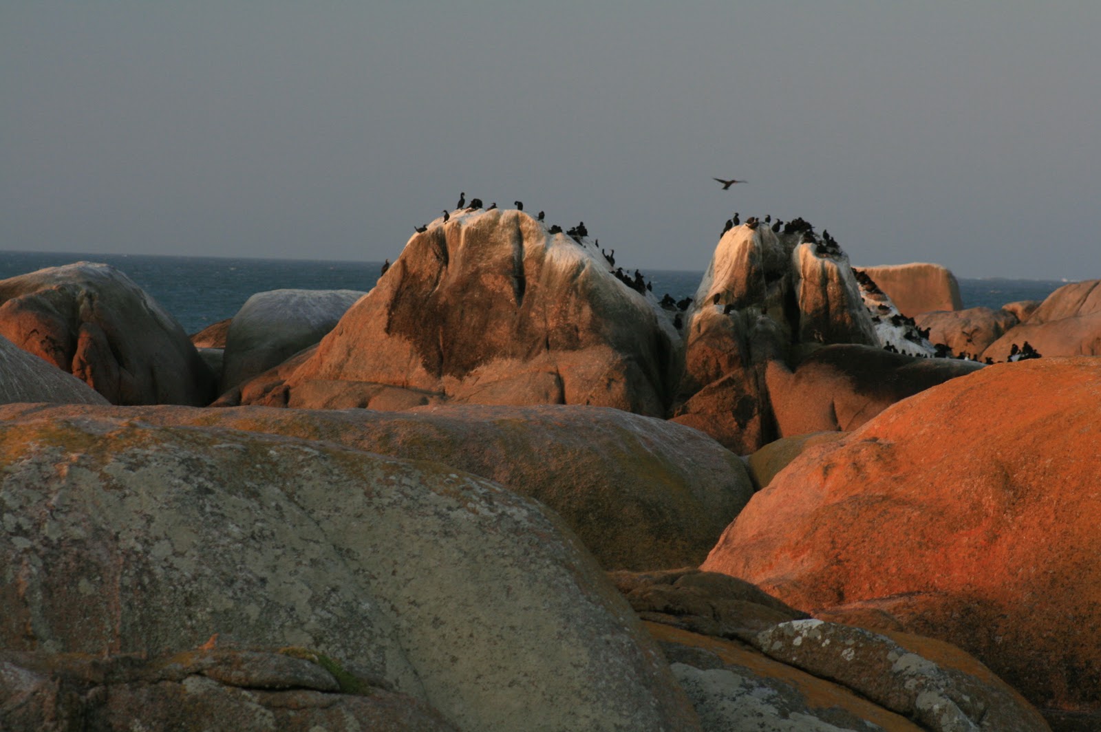 Travels, Experiences, Life: Tietiesbaai