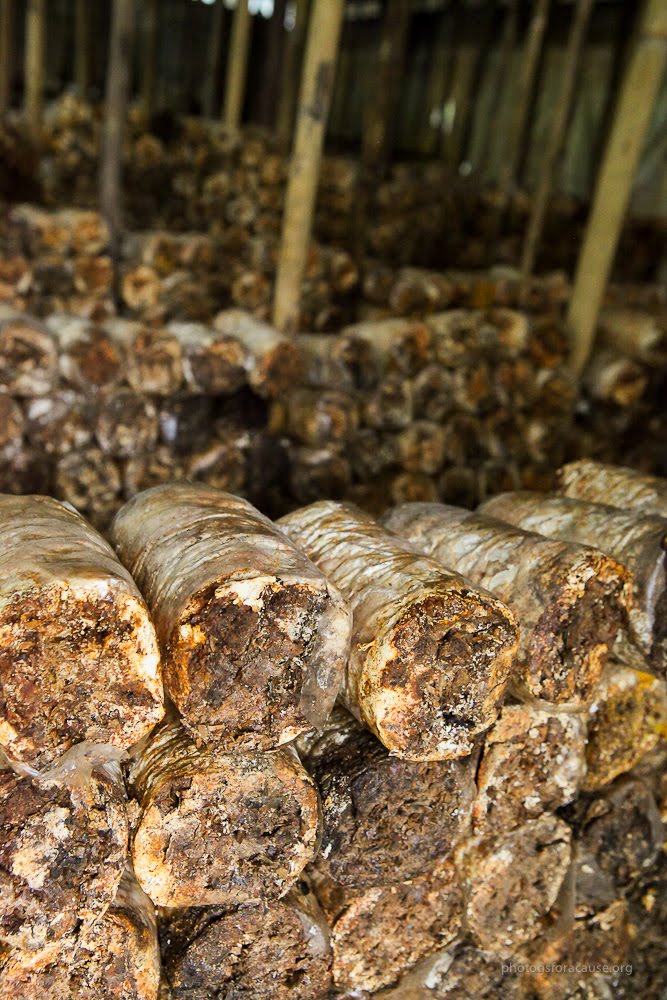 Melendres Farm || Antipolo, Rizal