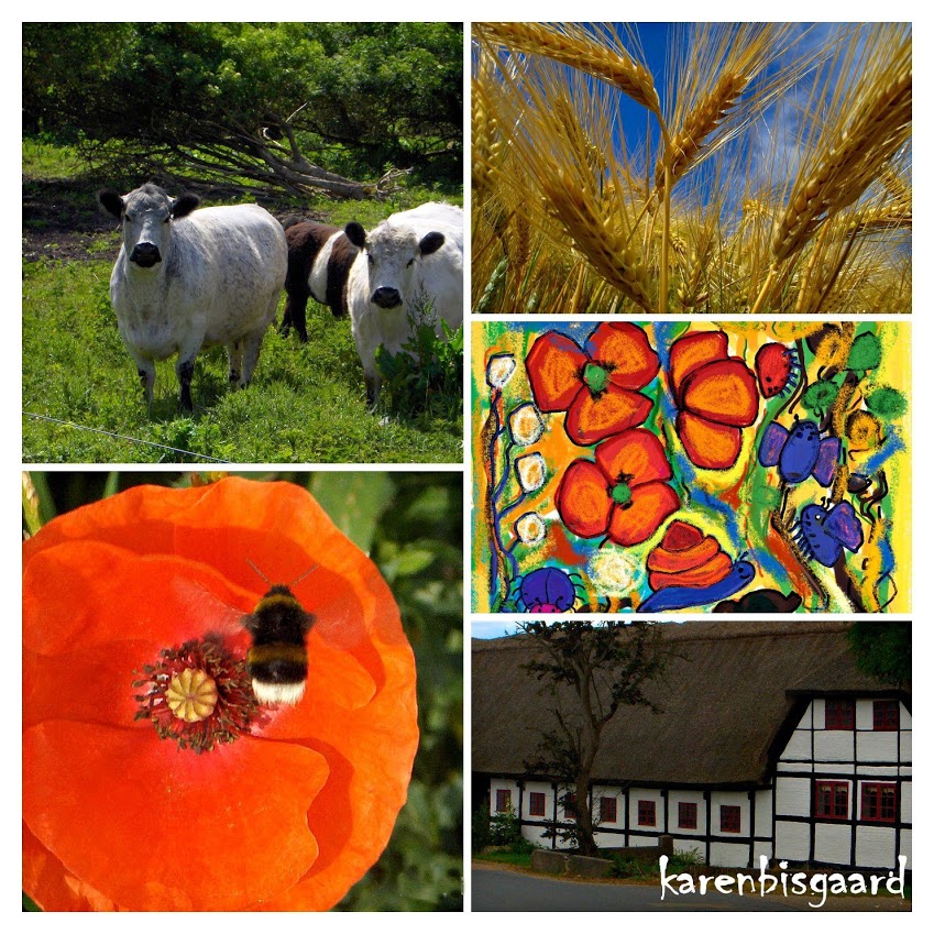 Karen`s Nature Photography: Countryside Collage.
