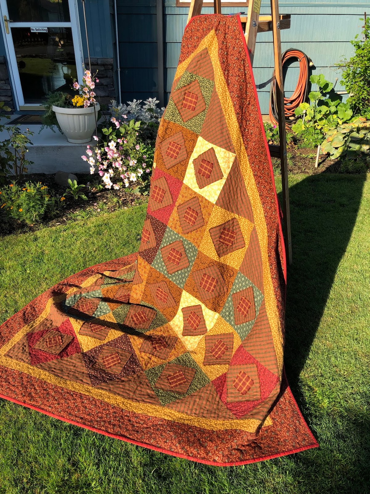 Wren's Nest: 2018 Finishes - TB Frizzle Frazzle - #46