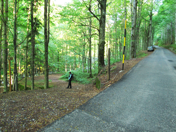 Escursionismo a 360°: Alpe Tre Potenze e Gomito (per il Lago del Greppo) EE