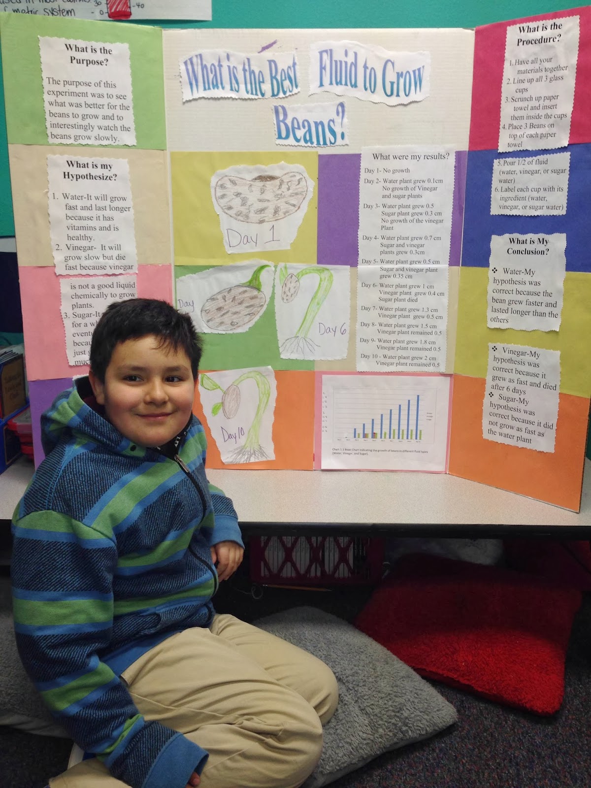 Ms. Seeley's Fourth Grade: Science Fair 2014