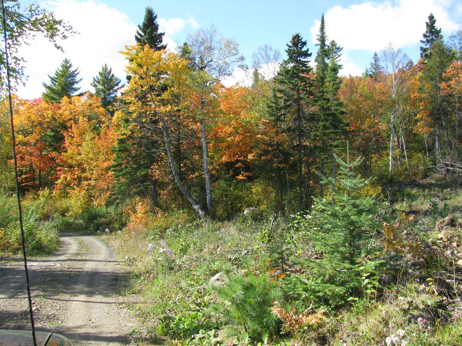 Of Metal Men: Up North!