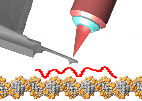 Biophysics - Forces in the Bio Universe: Atomic Force Microscopy with ...
