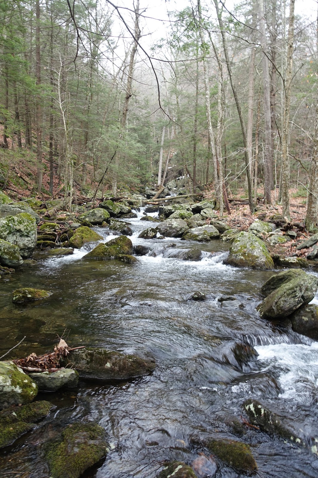 Of Rock & Riffle: A Monumental Mid-Winter's Day in a Deep, Dark Ravine