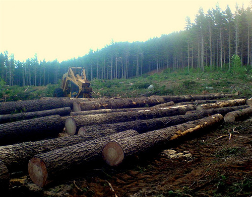 The Global Water Crisis: A Local Case Study. Cape Town, South Africa