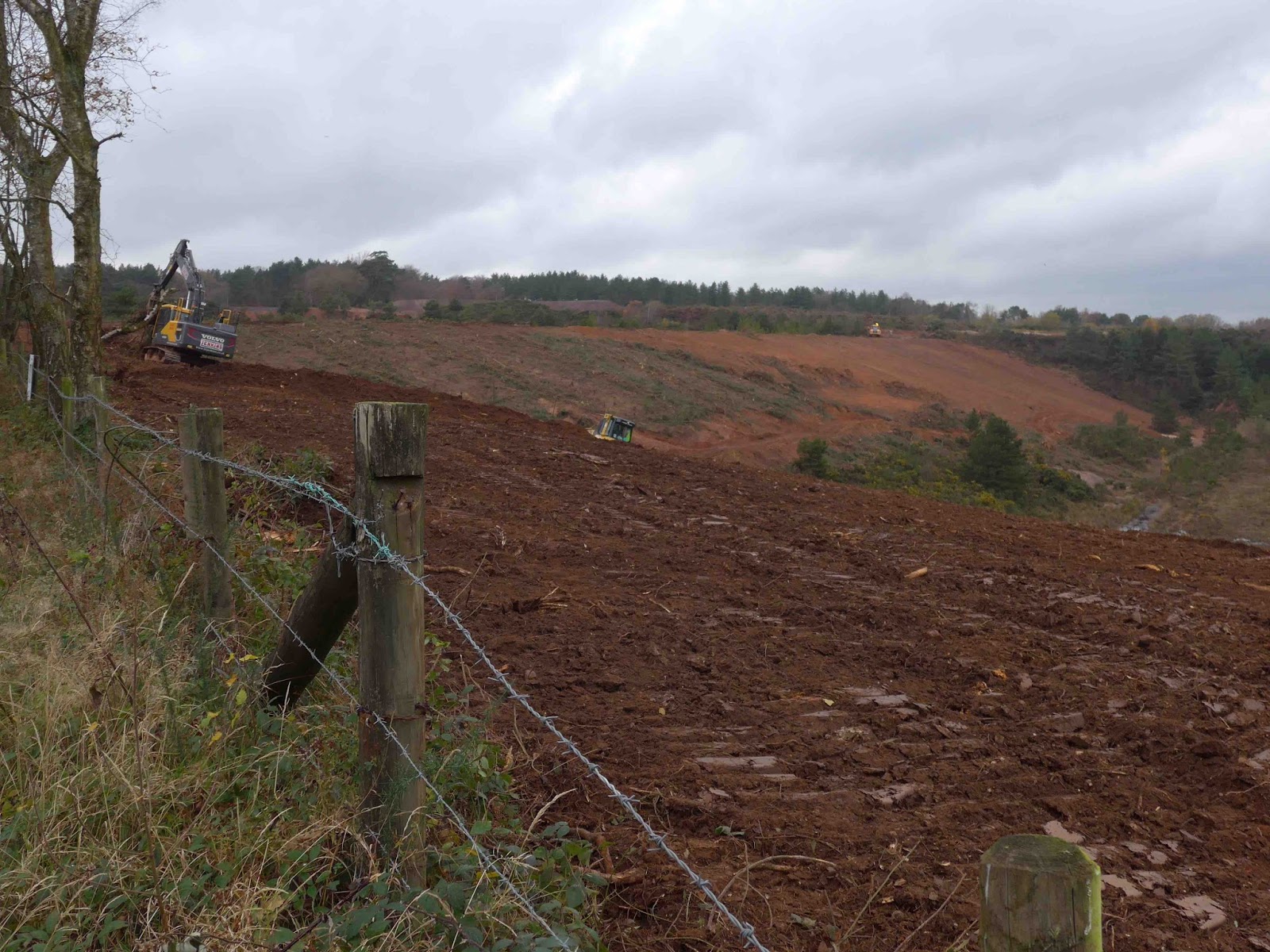 Straitgate Action Group: Blackhill Quarry: restoration, awards and ...