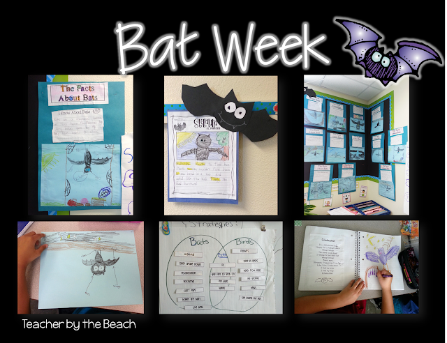 Bat Week - Teacher by the Beach