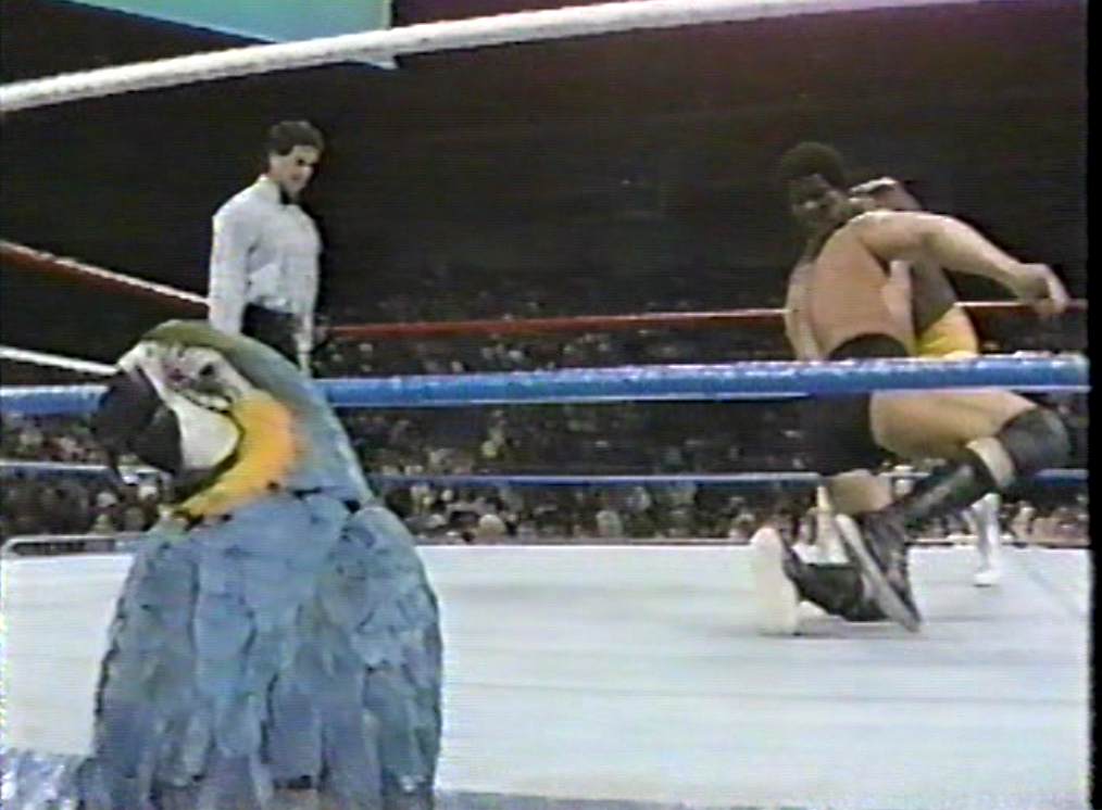 WWF Primetime 3-14-1988