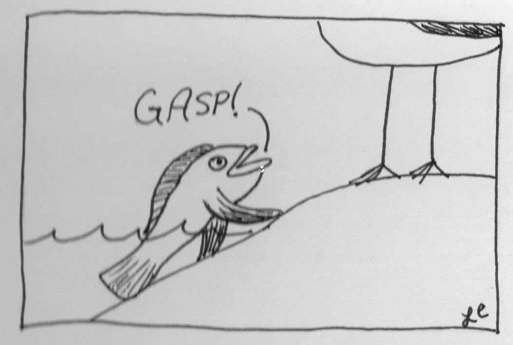 True Story: Evolution Fail