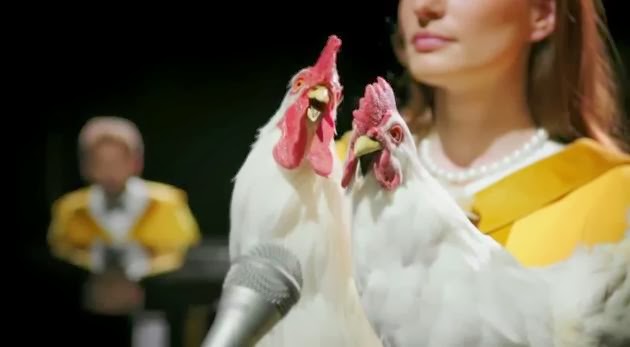 These are not the first chicken stars in advertising, last month ...