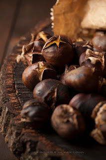 Plantatii cu castani: PRETURI PLANTE DE CASTAN