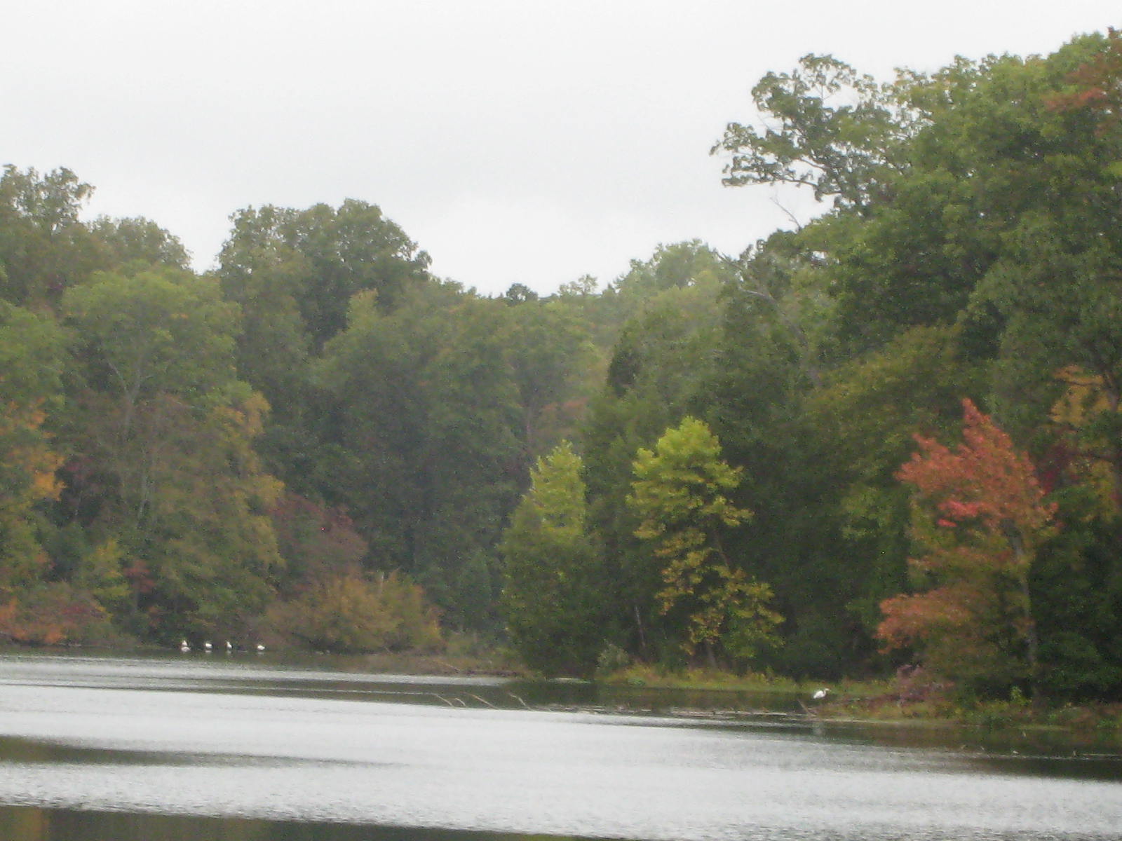 Meixner Messages: Armistead Family History #1 - Shirley Plantation