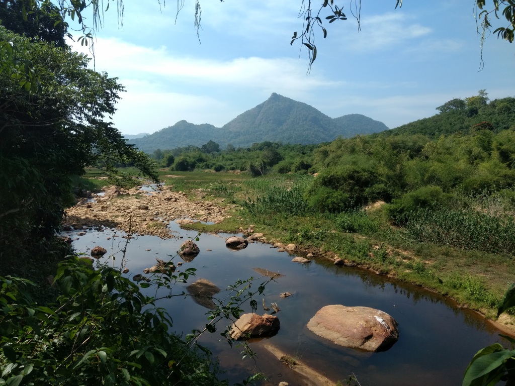 Tamilnadu Tourism: Kalikesam Forest & Waterfalls, Kanyakumari