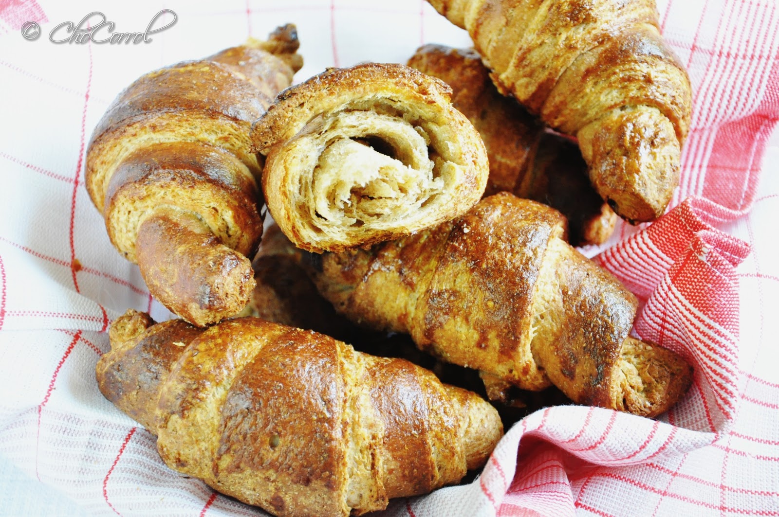 CoLoRes, SaBoRes, oLoRes...CoLoRs, TaSTeS, SmeLLS: cuernitos integrales